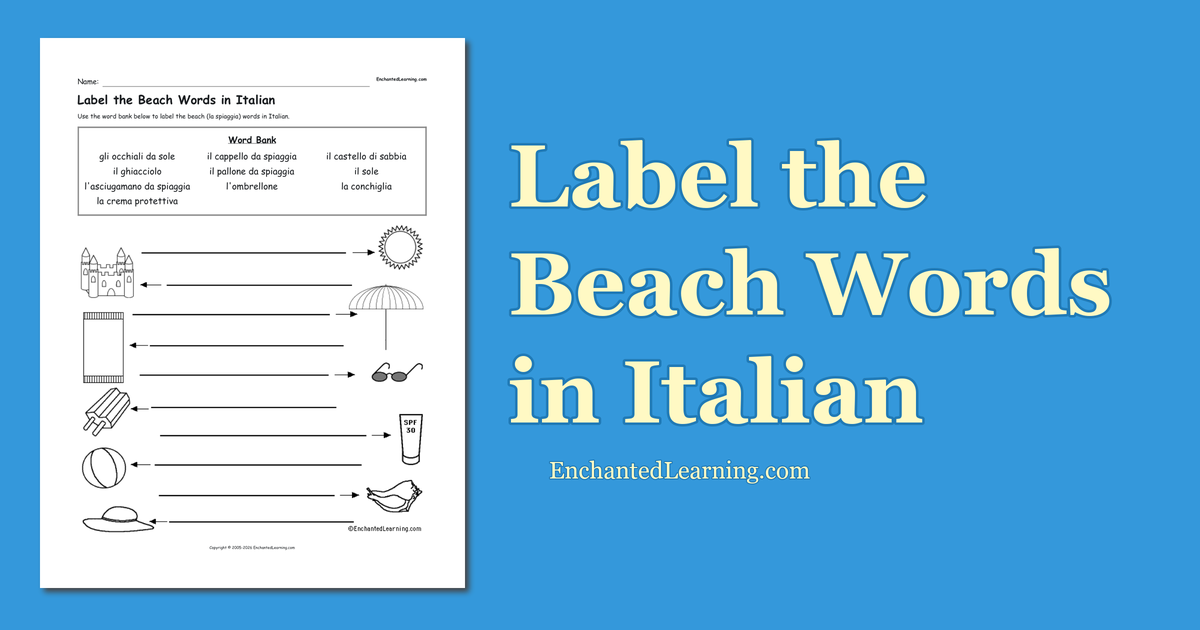 Label the Beach Words in Italian - Enchanted Learning
