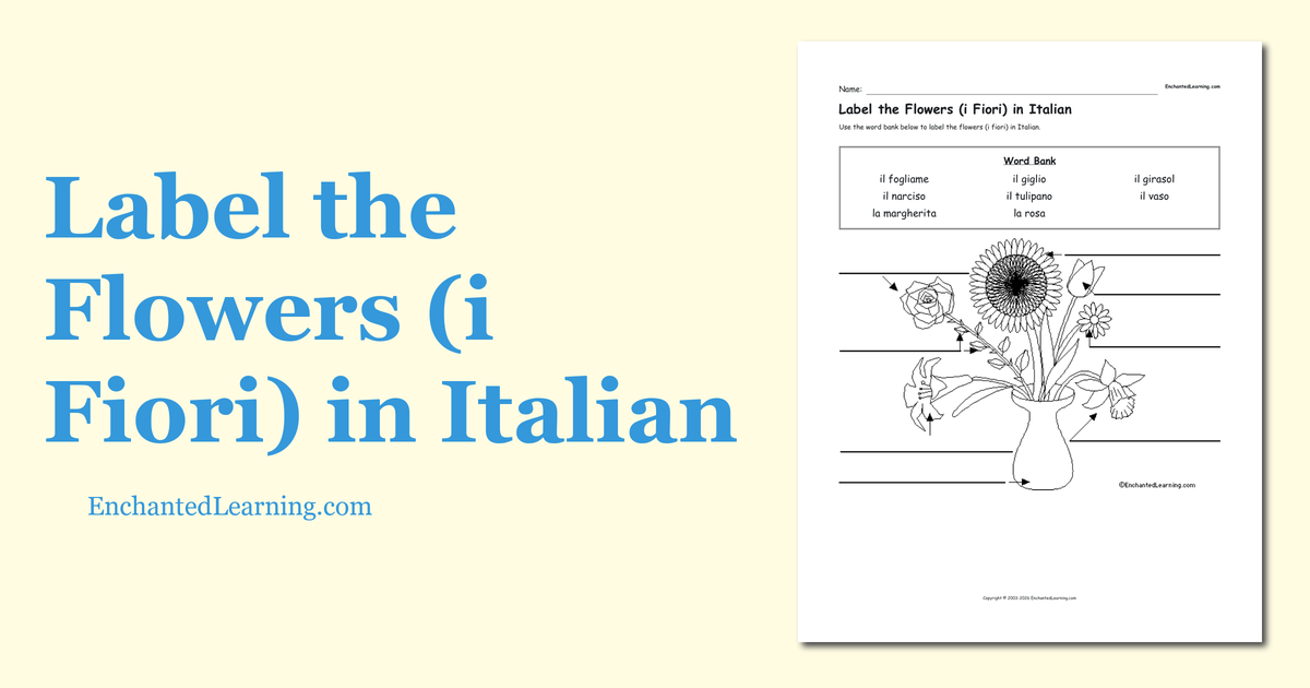 Label the Flowers (i Fiori) in Italian - Enchanted Learning
