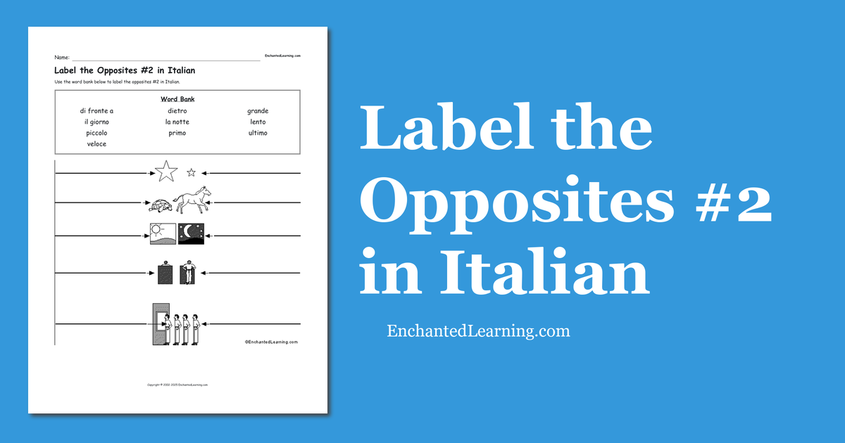 Label the Opposites #2 in Italian - Enchanted Learning
