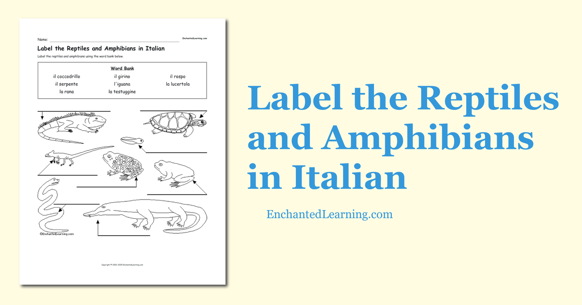 Label the Reptiles and Amphibians in Italian - Enchanted Learning