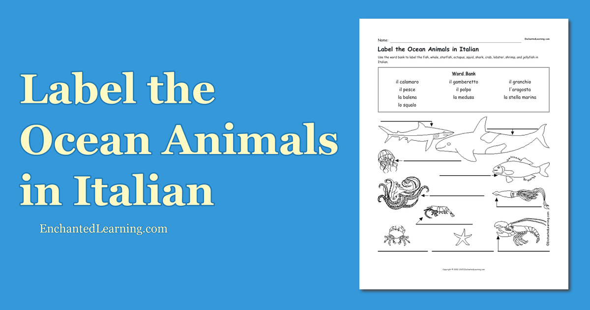 Label the Ocean Animals in Italian - Enchanted Learning