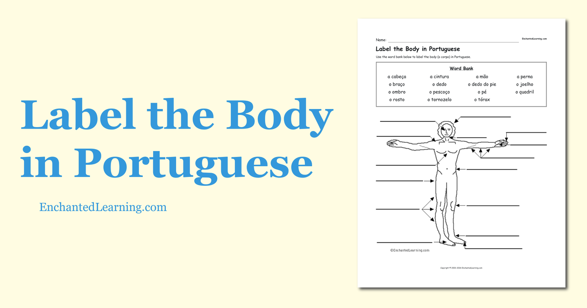 Label the Body in Portuguese - Enchanted Learning