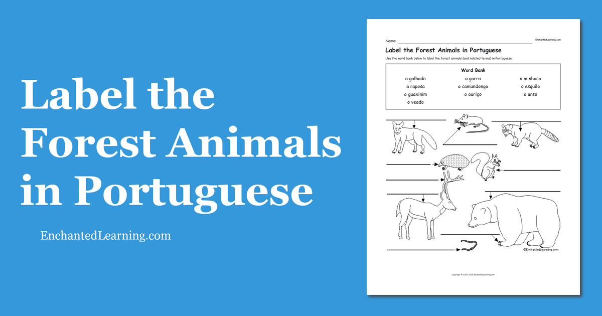 Label the Forest Animals in Portuguese - Enchanted Learning