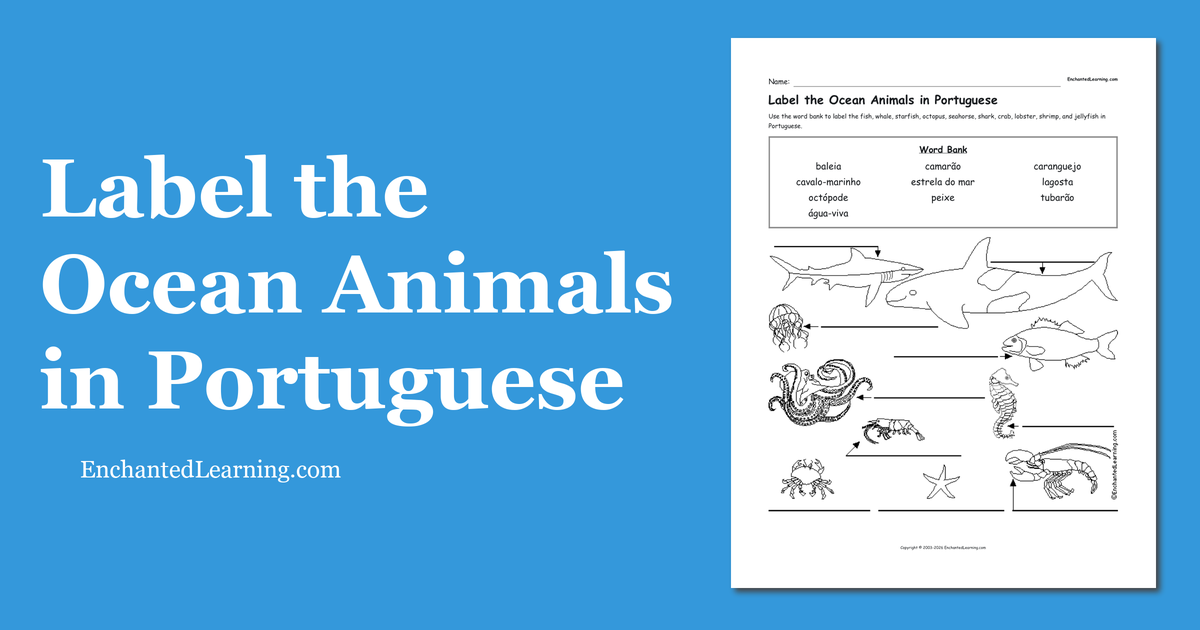 Label the Ocean Animals in Portuguese - Enchanted Learning