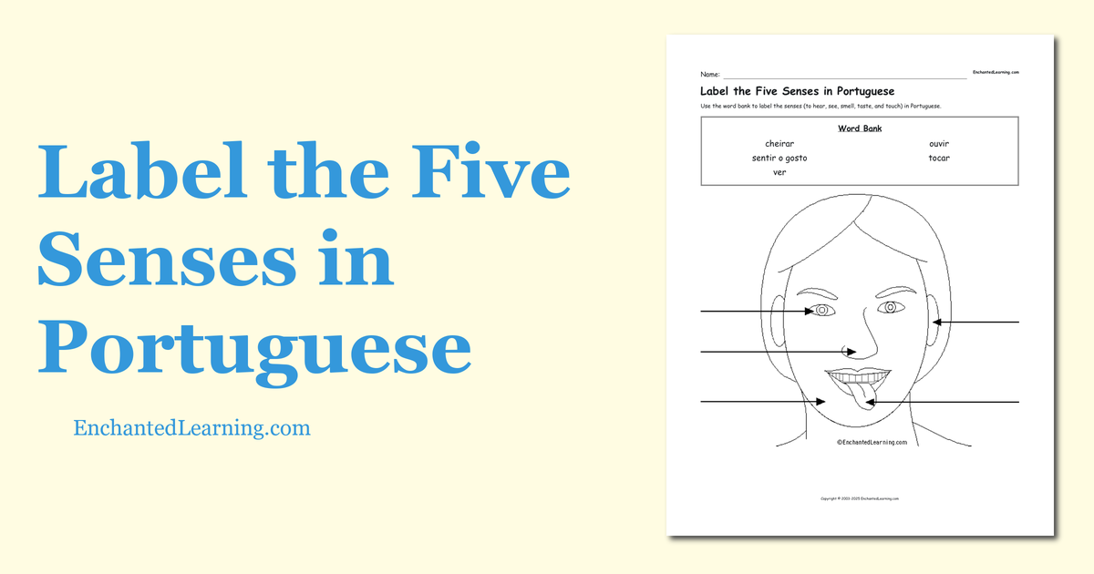 Label the Five Senses in Portuguese - Enchanted Learning