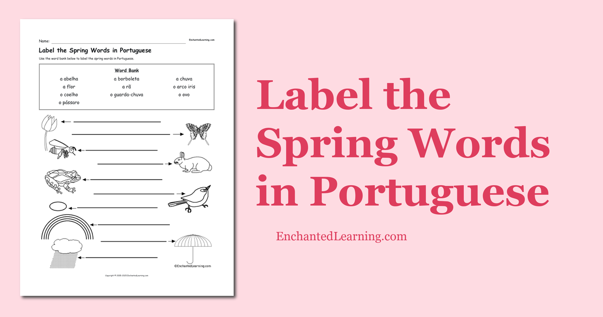 Label the Spring Words in Portuguese - Enchanted Learning