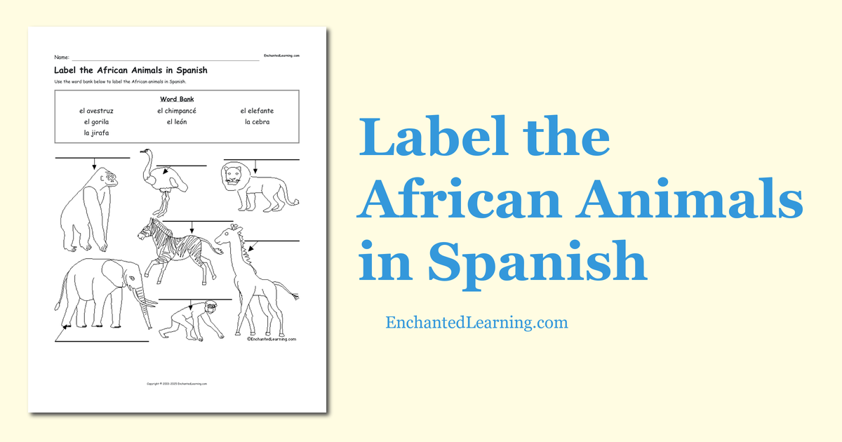 Label the African Animals in Spanish - Enchanted Learning