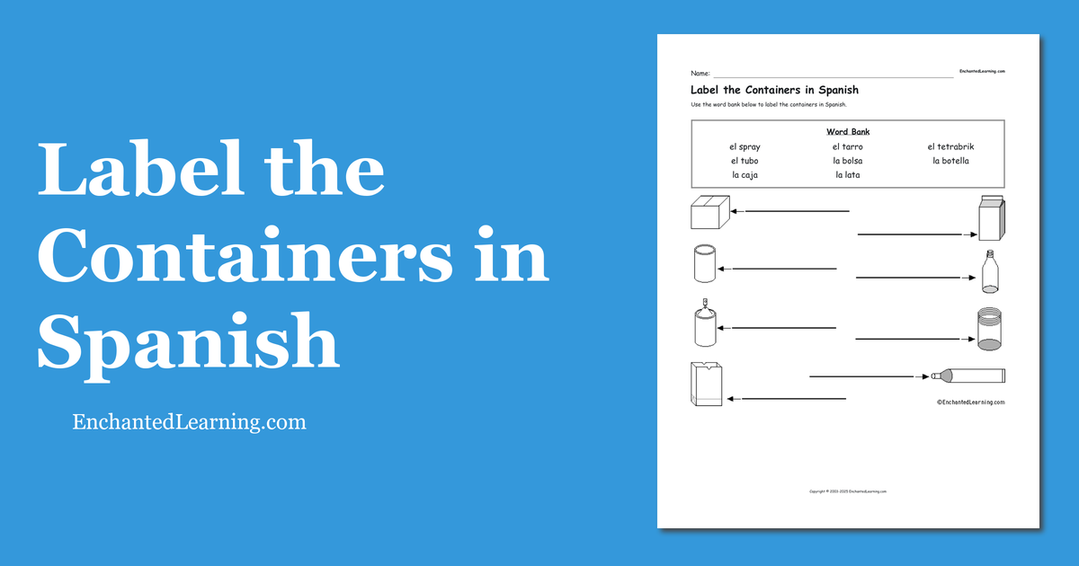 Containers In Spanish Translation at Eugene Head blog