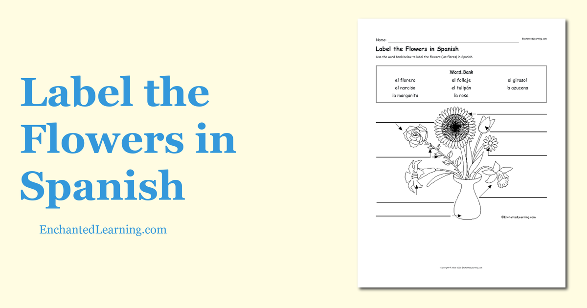 Label the Flowers in Spanish - Enchanted Learning