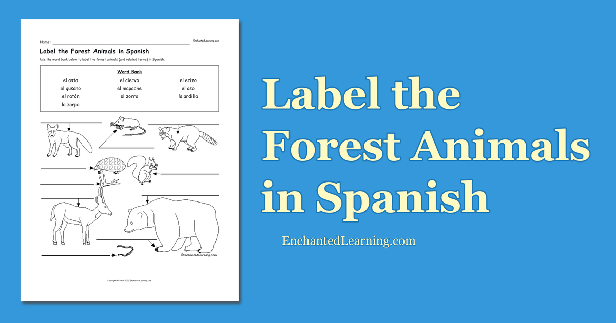 Label the Forest Animals in Spanish - Enchanted Learning