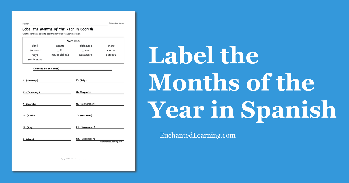 Months Of The Year In Spanish Worksheets