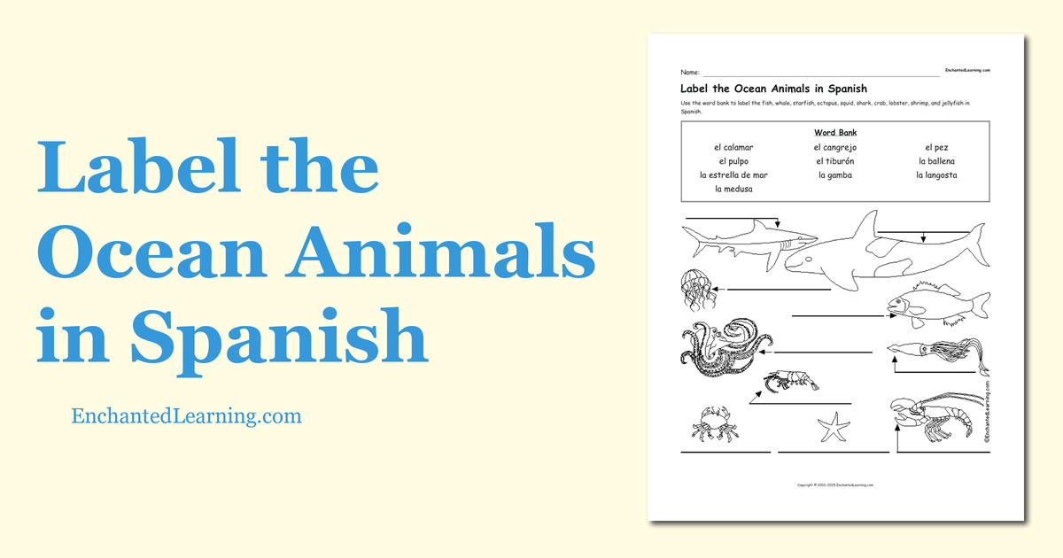 Label the Ocean Animals in Spanish - Enchanted Learning