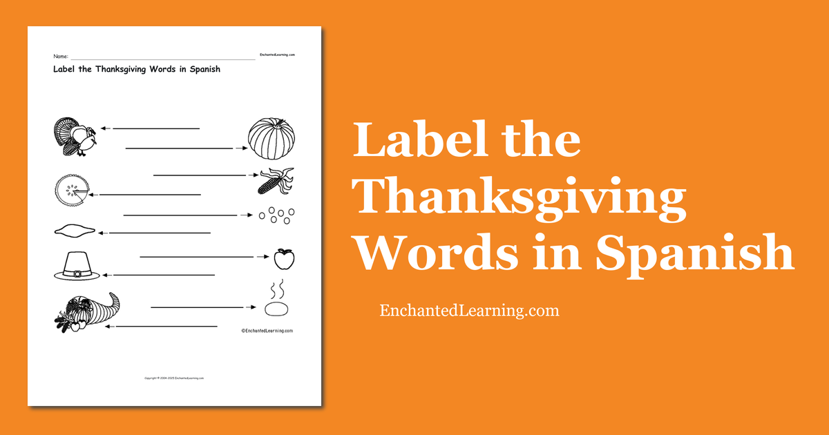 Label the Thanksgiving Words in Spanish - Enchanted Learning