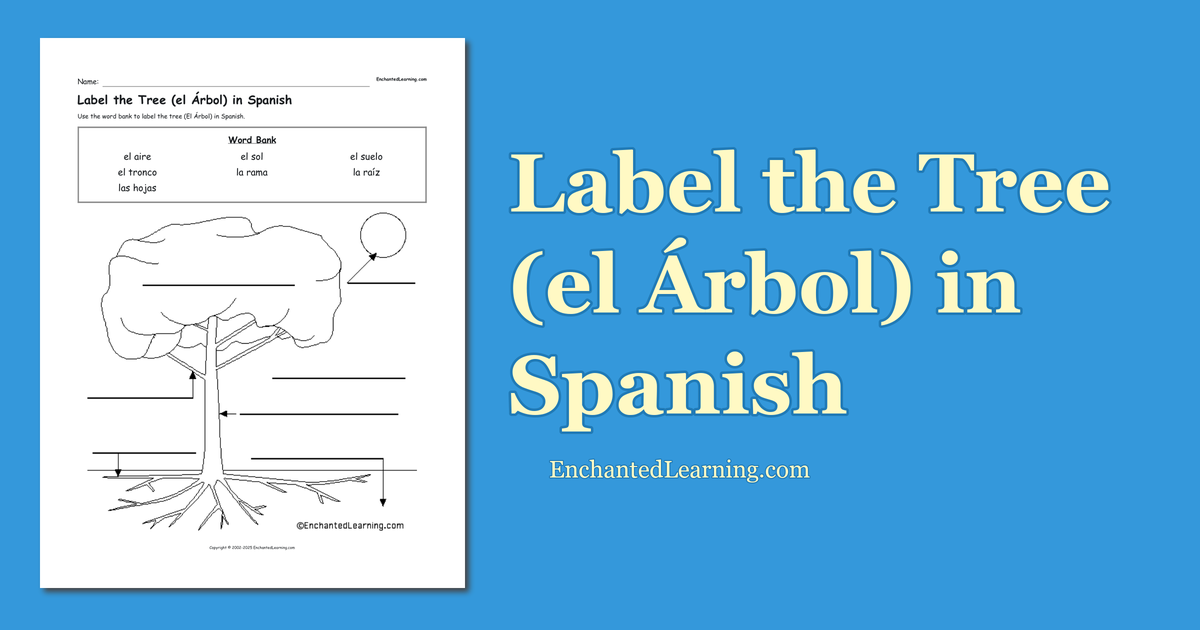 Label the Tree (el Árbol) in Spanish - Enchanted Learning