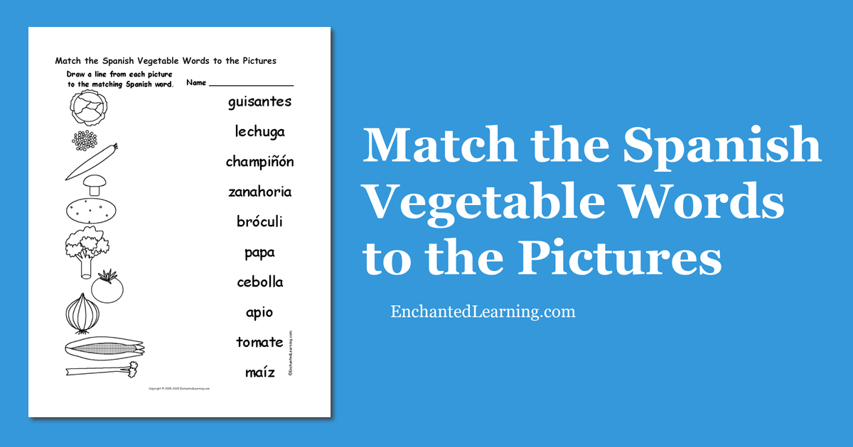 Match the Spanish Vegetable Words to the Pictures - Enchanted Learning
