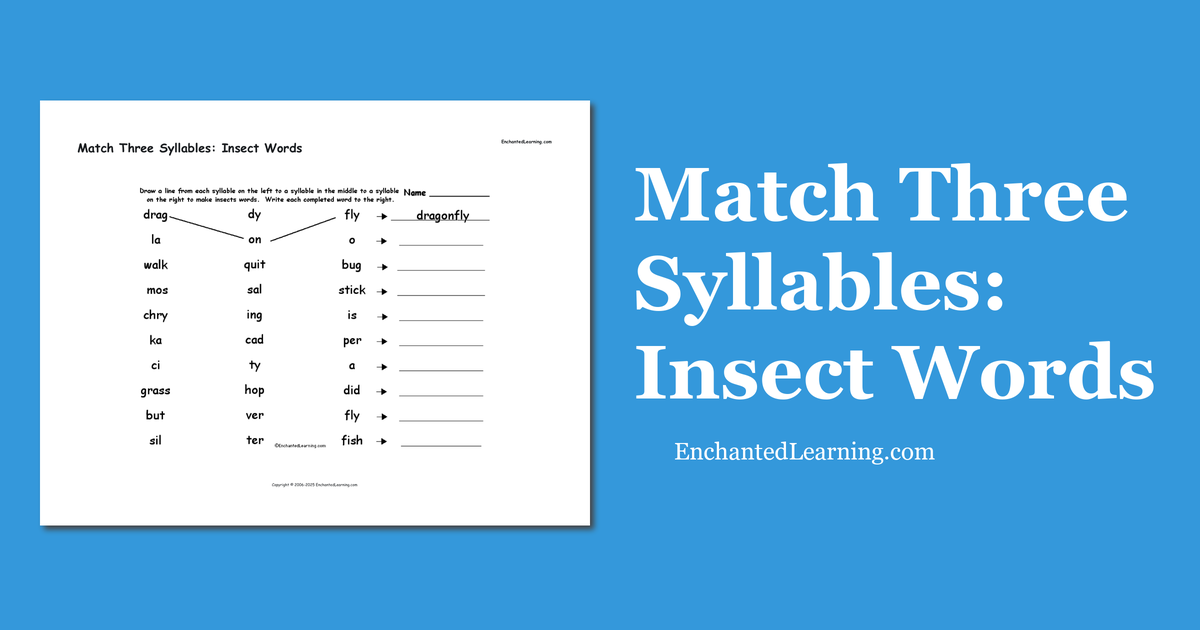 Match Three Syllables: Insect Words - Enchanted Learning