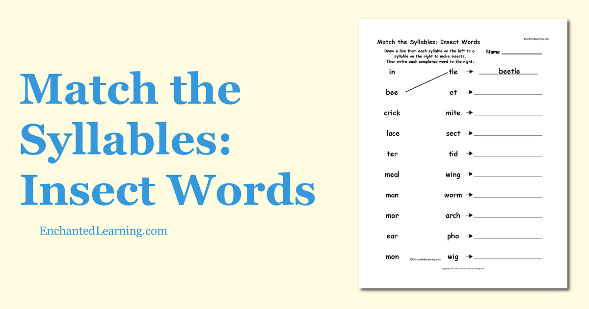 Match the Syllables: Insect Words - Enchanted Learning
