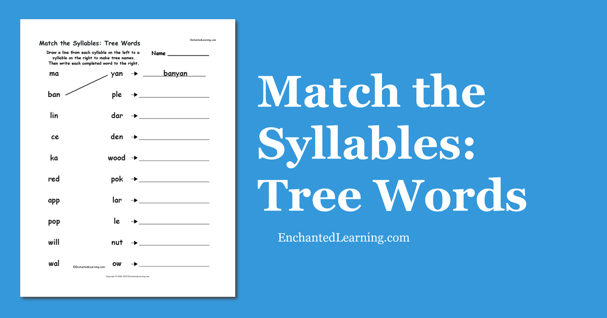 Match the Syllables: Tree Words - Enchanted Learning