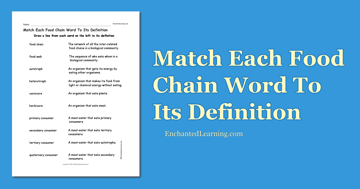 Match Each Food Chain Word To Its Definition - Enchanted Learning