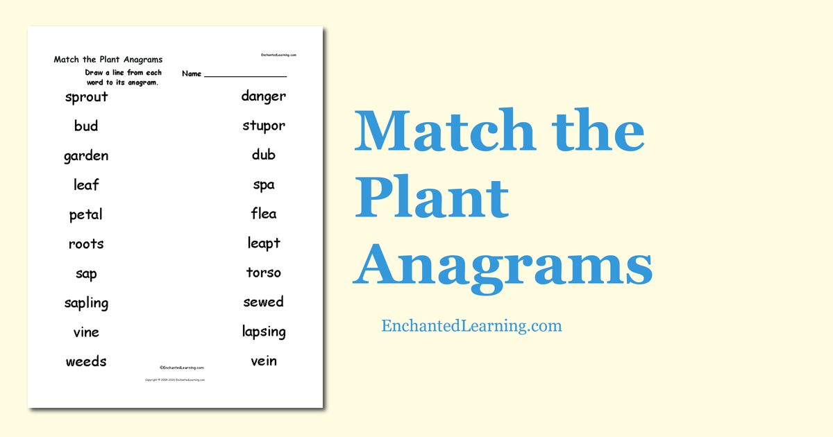 Match the Plant Anagrams - Enchanted Learning