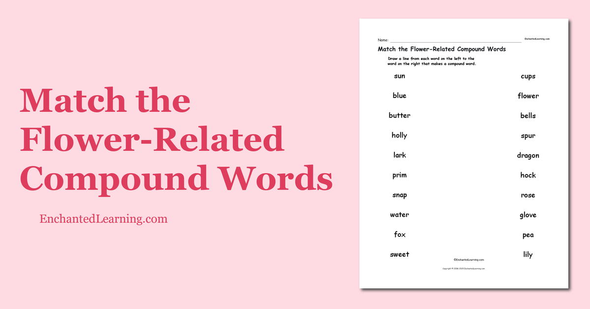 Match the Flower-Related Compound Words - Enchanted Learning