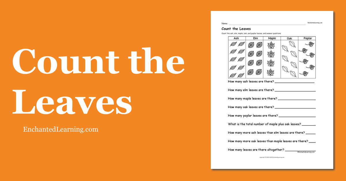 Count the Leaves Worksheet - Enchanted Learning