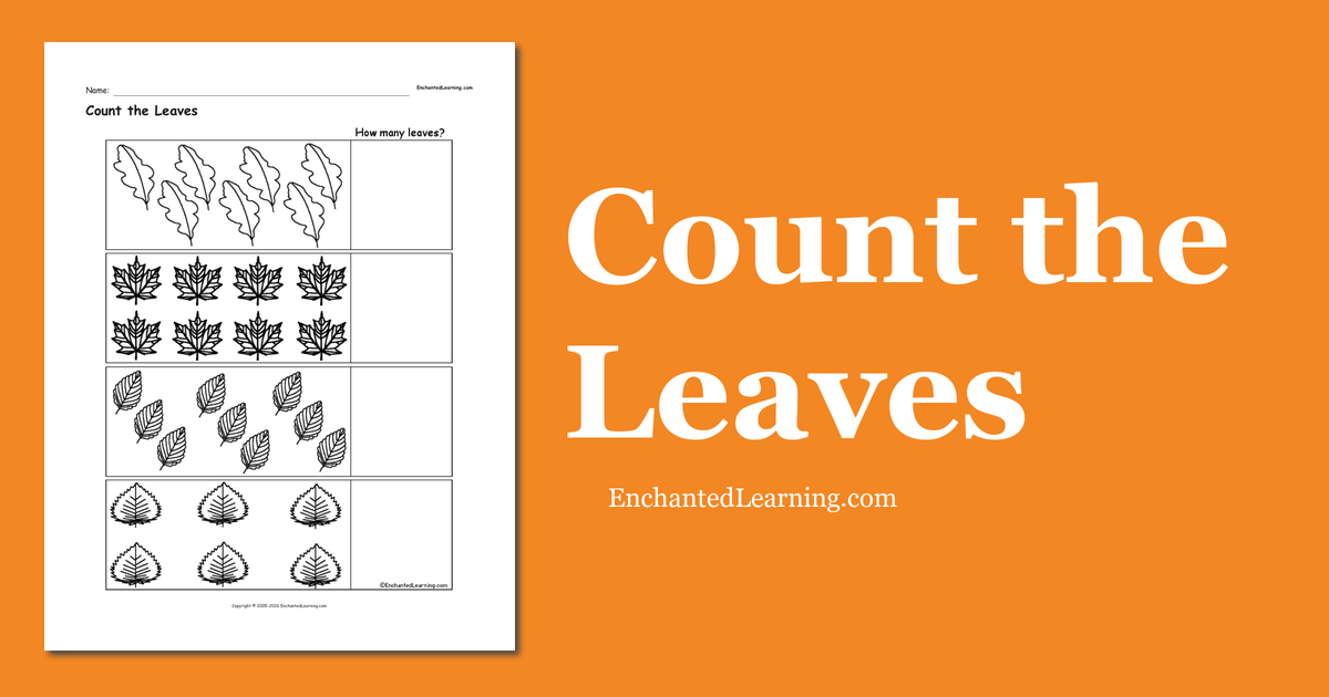 Count the Leaves - Enchanted Learning