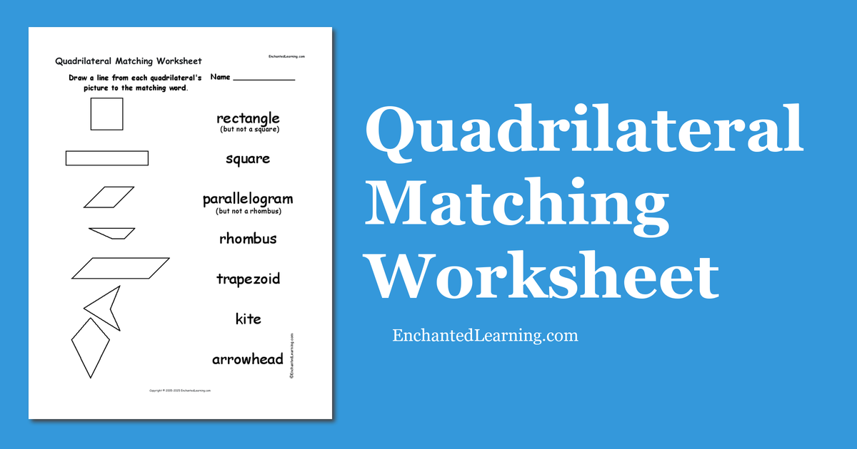 Quadrilaterals Worksheet