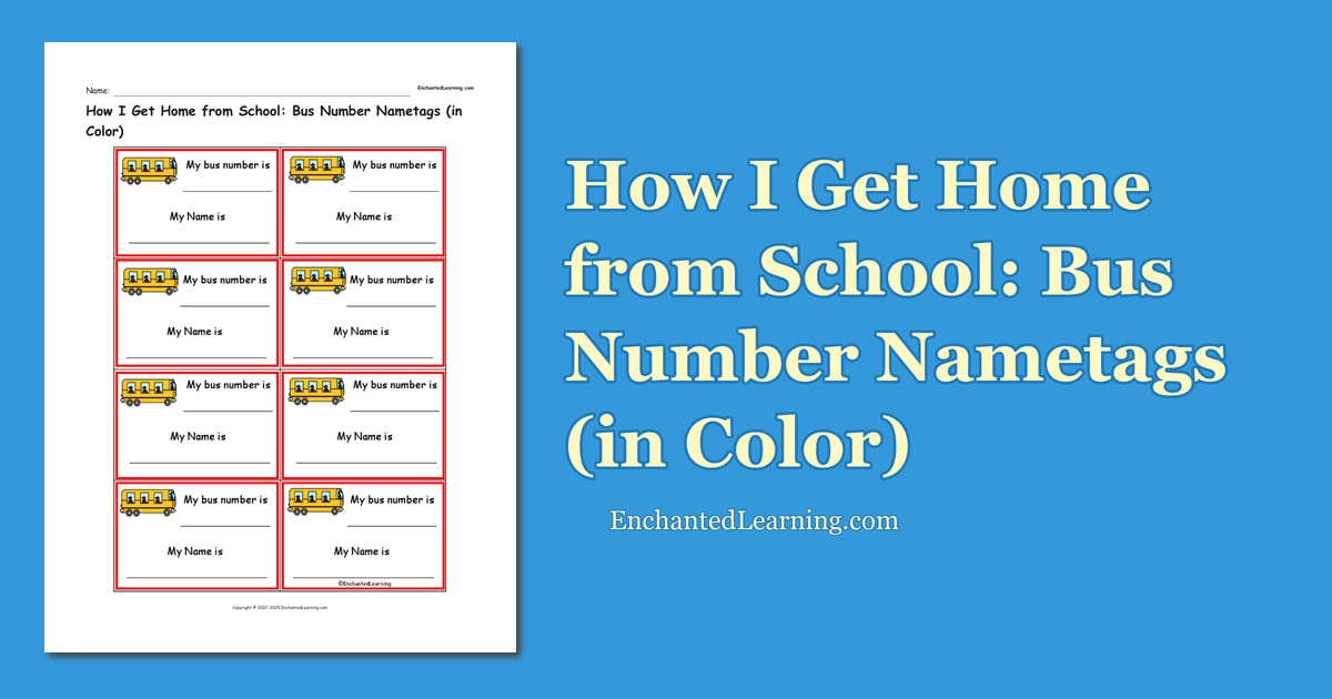 How I Get Home from School: Bus Number Nametags (in Color) - Enchanted ...
