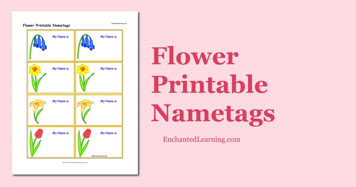 Flower Printable Nametags - Enchanted Learning