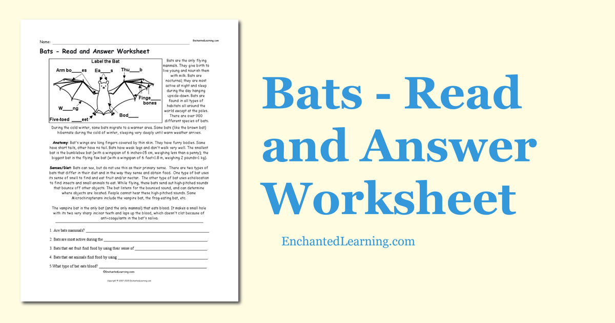 Bats - Read and Answer Worksheet - Enchanted Learning
