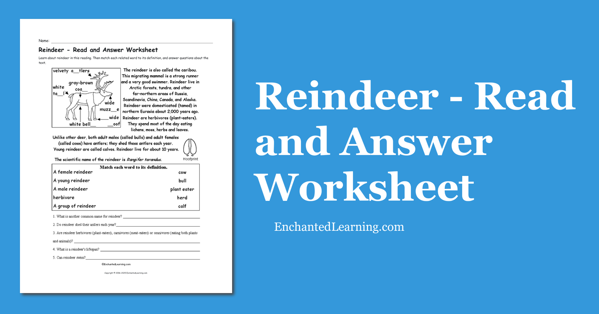 Reindeer - Read and Answer Worksheet - Enchanted Learning