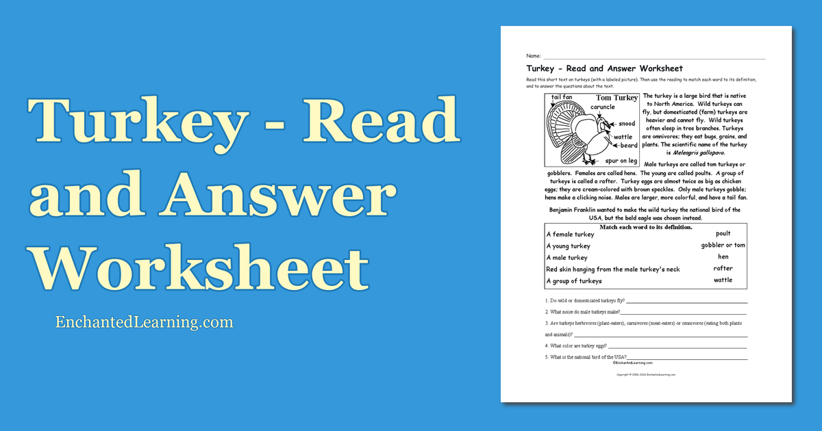 Turkey - Read and Answer Worksheet - Enchanted Learning