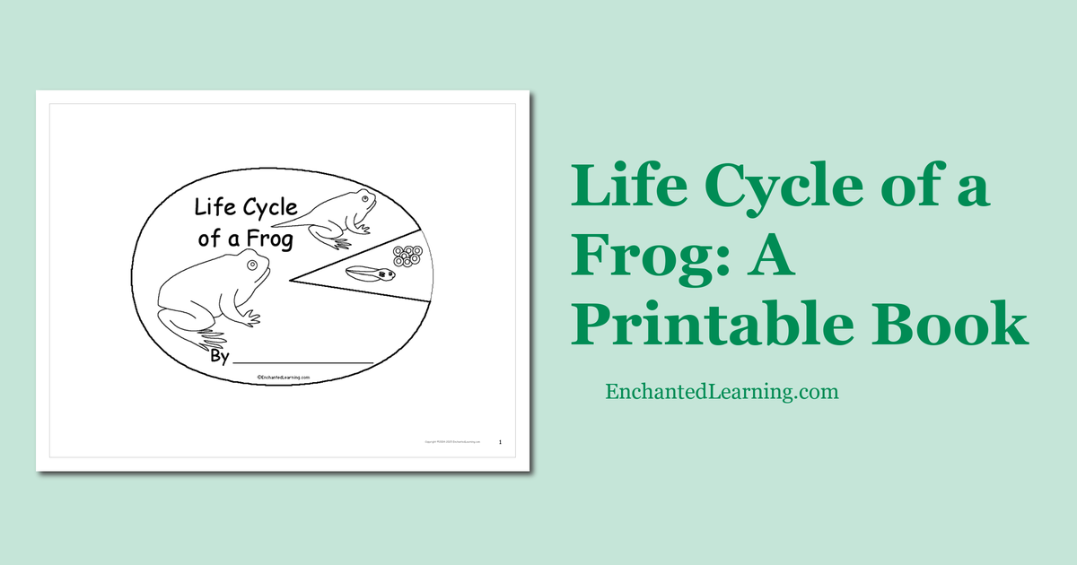 Life Cycle of a Frog: A Printable Book - Enchanted Learning