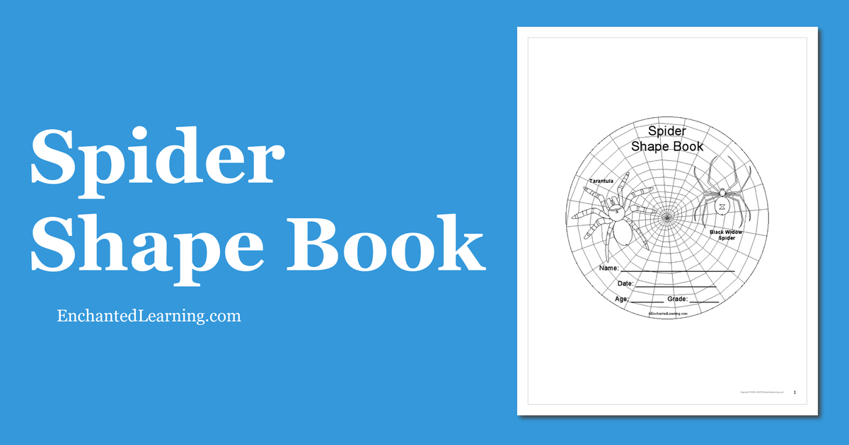 Spider Shape Book - Enchanted Learning