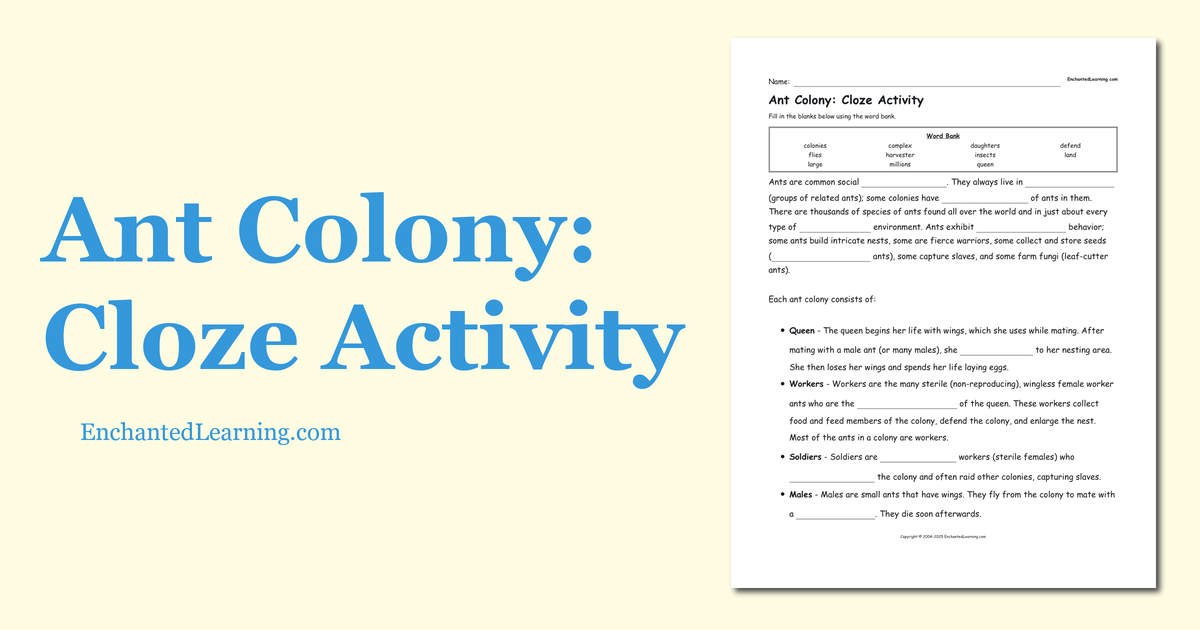 Ant Colony: Cloze Activity - Enchanted Learning