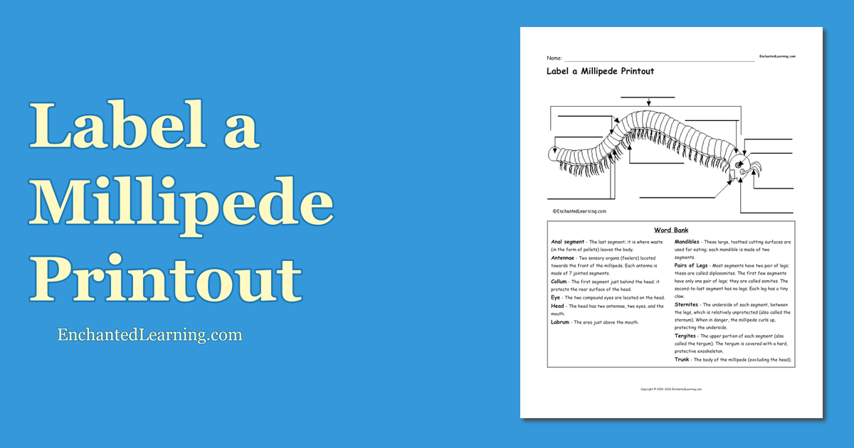 Label a Millipede Printout - Enchanted Learning
