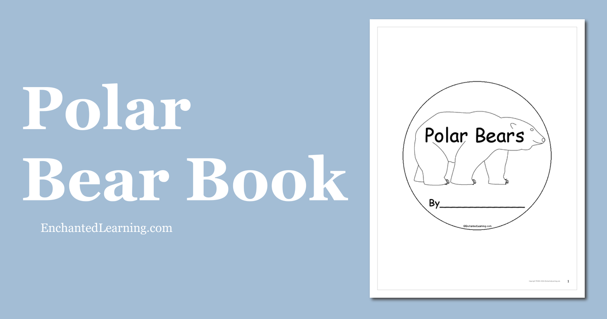 Polar Bear Book - Enchanted Learning