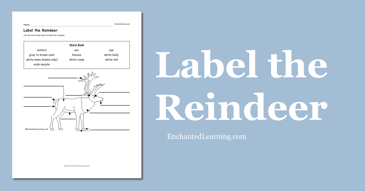 Label the Reindeer - Enchanted Learning