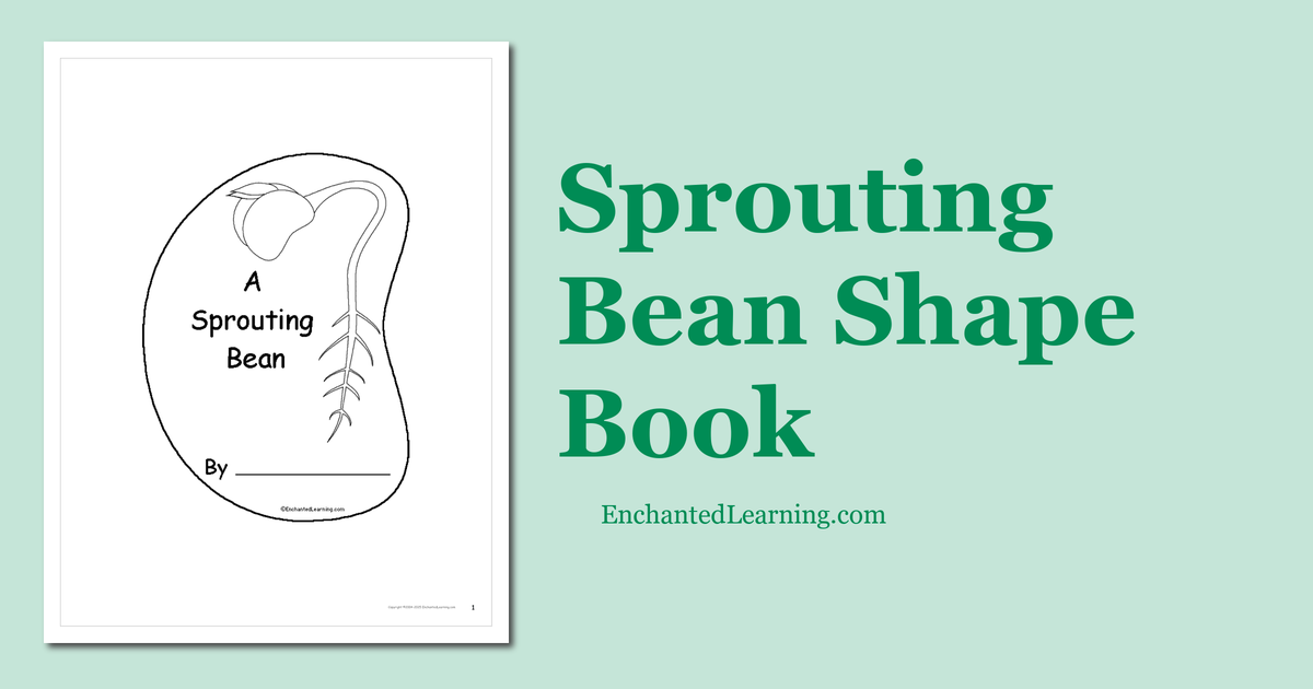 Sprouting Bean Shape Book - Enchanted Learning