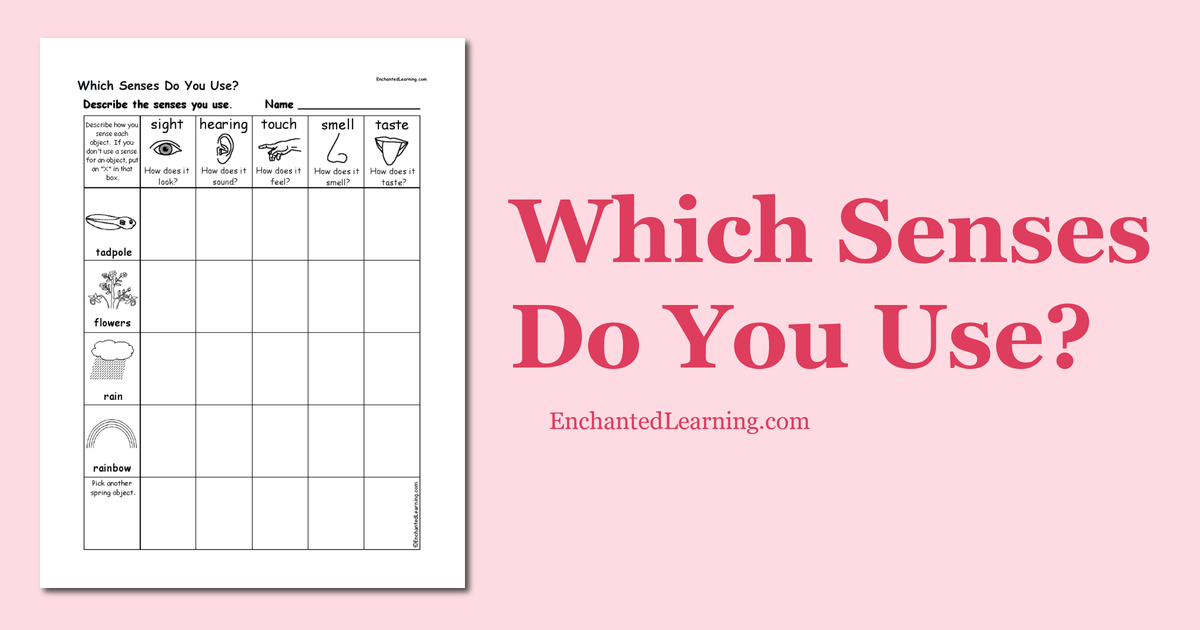 Which Senses Do You Use? Spring Worksheet - Enchanted Learning