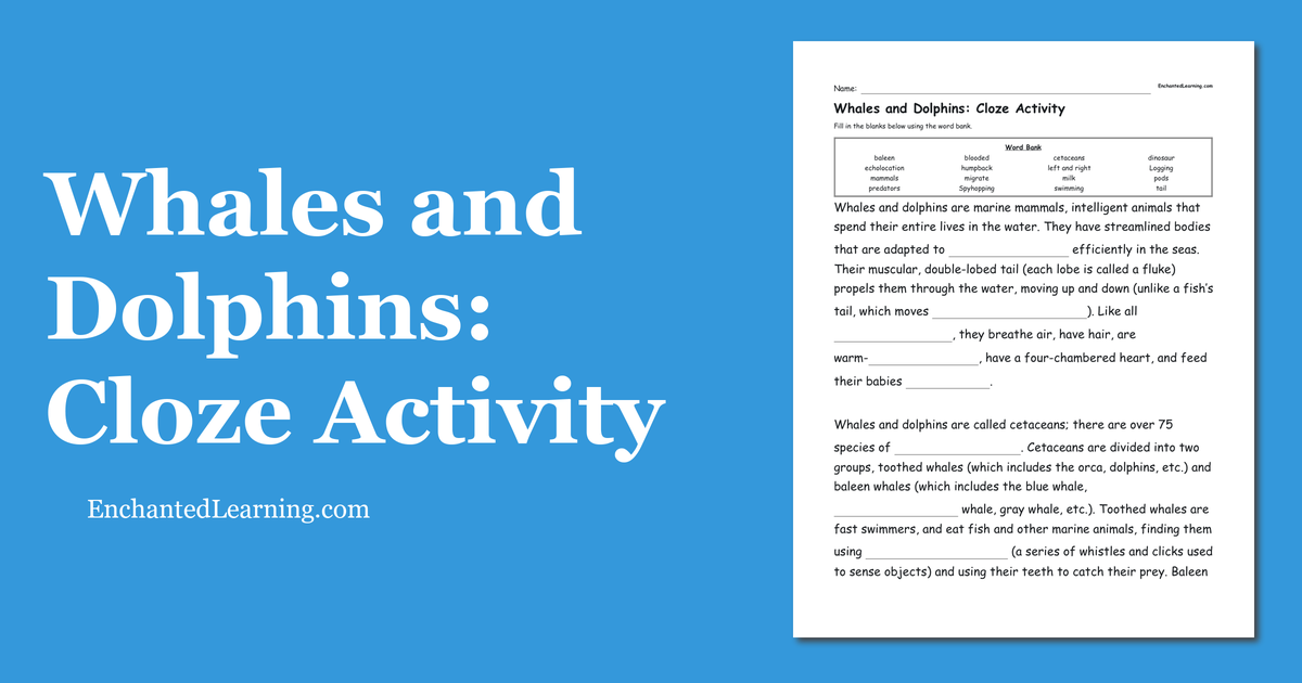 Whales and Dolphins: Cloze Activity - Enchanted Learning