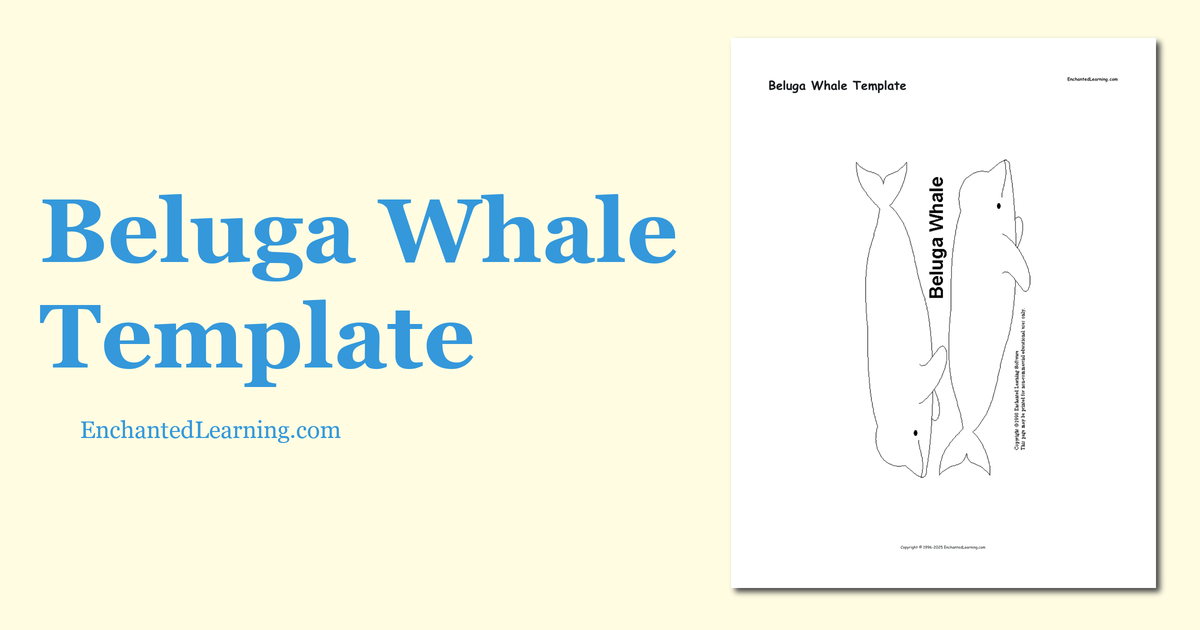 Whale Printable Template