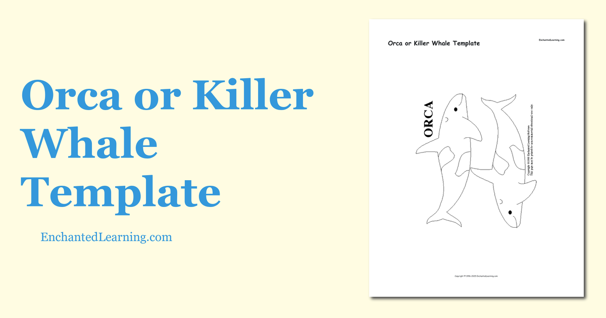 Orca or Killer Whale Template - Enchanted Learning