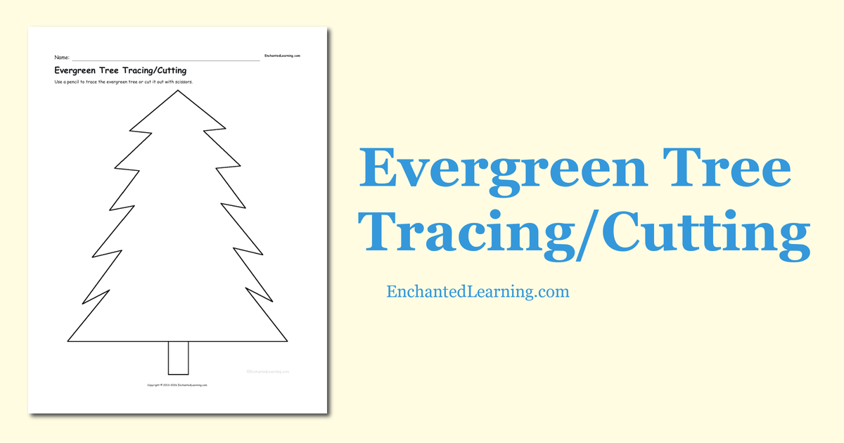 Evergreen Tree Tracing/Cutting - Enchanted Learning