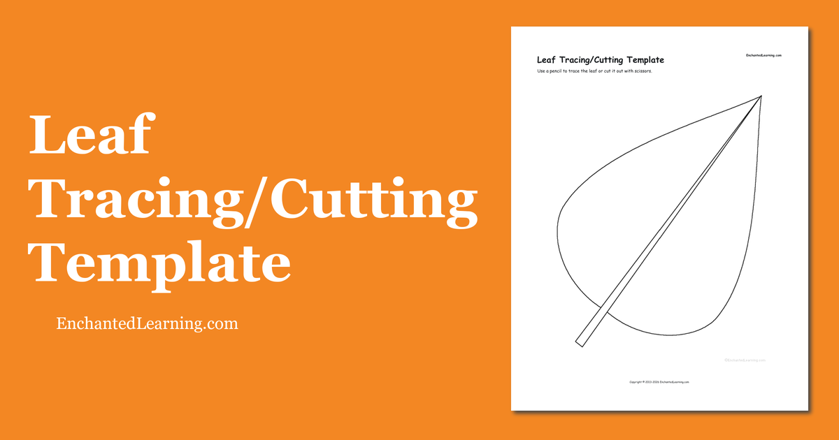 Leaf Tracing/Cutting Template - Enchanted Learning