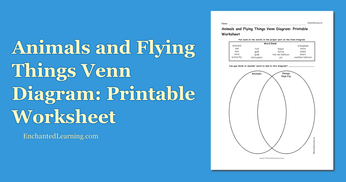 Animals and Flying Things Venn Diagram: Printable Worksheet - Enchanted ...