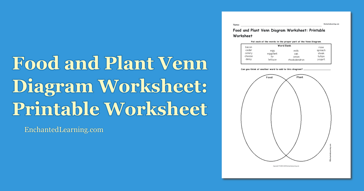Food and Plant Venn Diagram Worksheet: Printable Worksheet - Enchanted ...