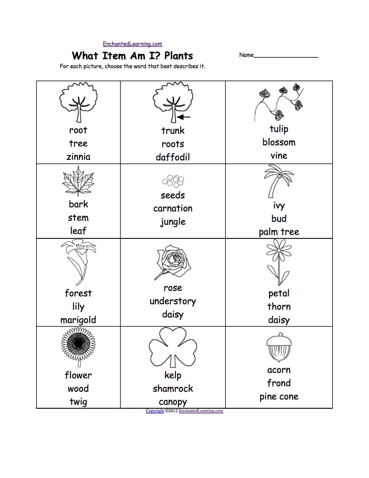 Spelling Plants At EnchantedLearning
