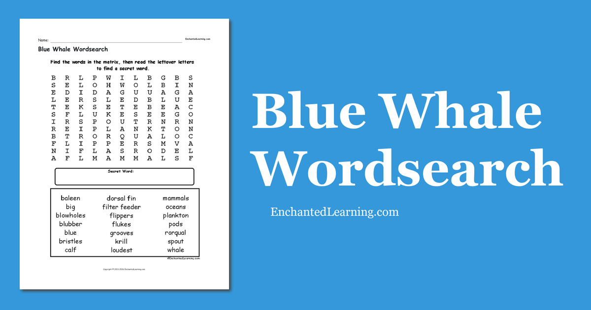 Blue Whale Wordsearch - Enchanted Learning